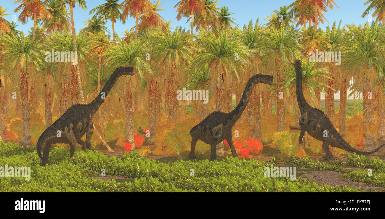 Quadrupedal herbivorous dinosaur late jurassic hi-res stock photography ...