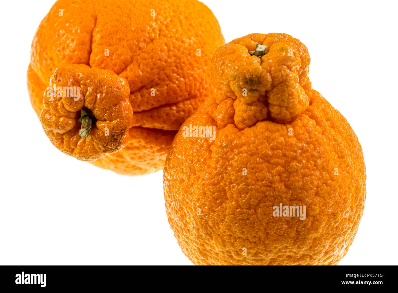 Sumo Citrus, also called dekopon, is a seedless and sweet mandarin ...