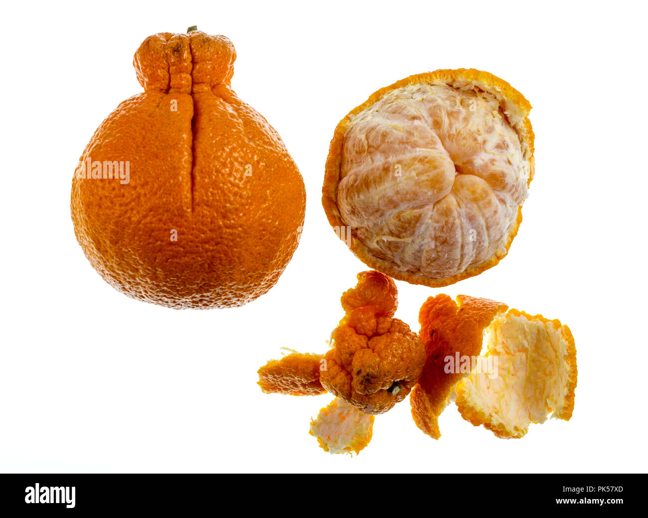 Sumo Citrus, also called dekopon, is a seedless and sweet mandarin ...