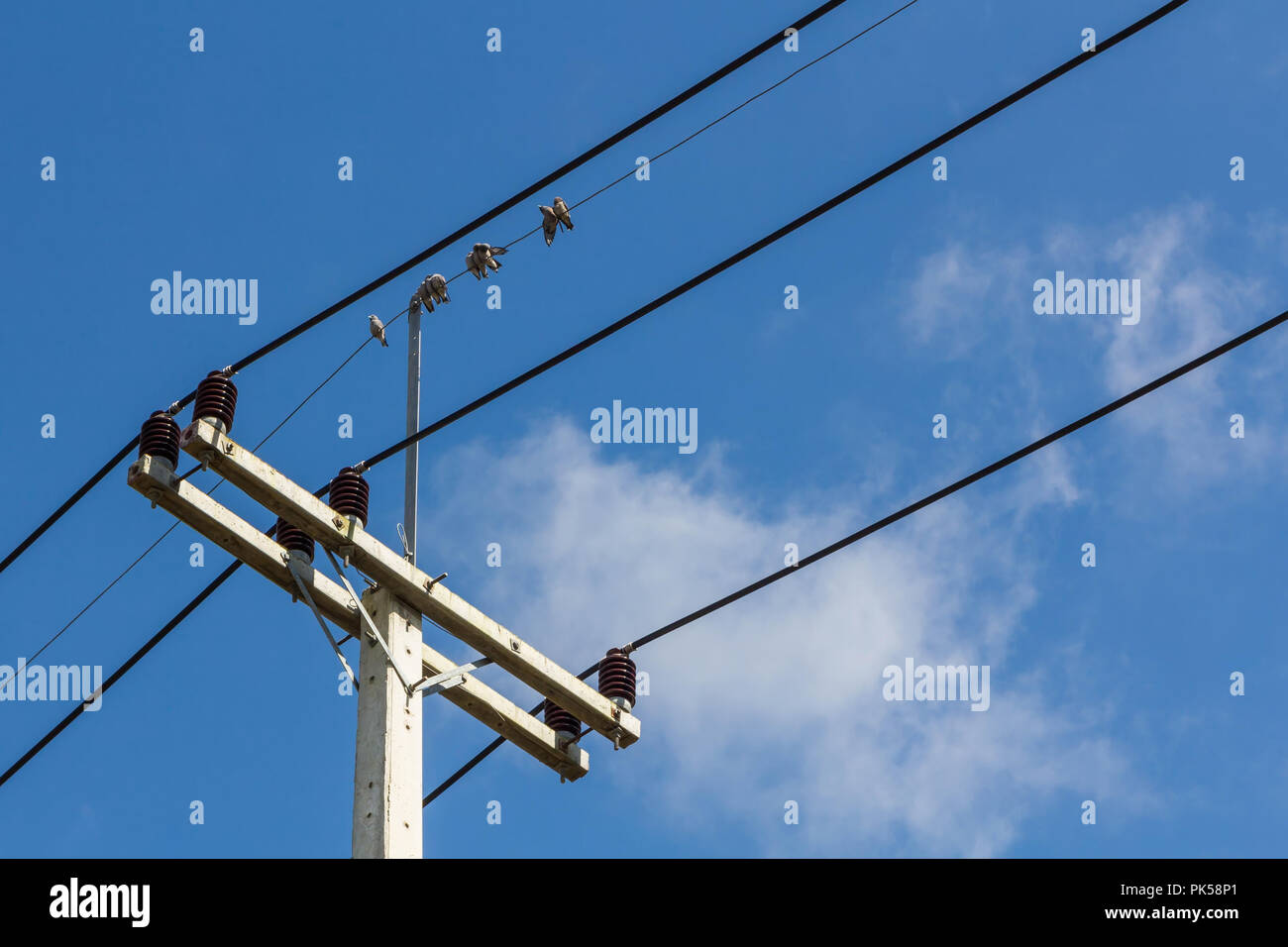 22kv hi-res stock photography and images - Alamy