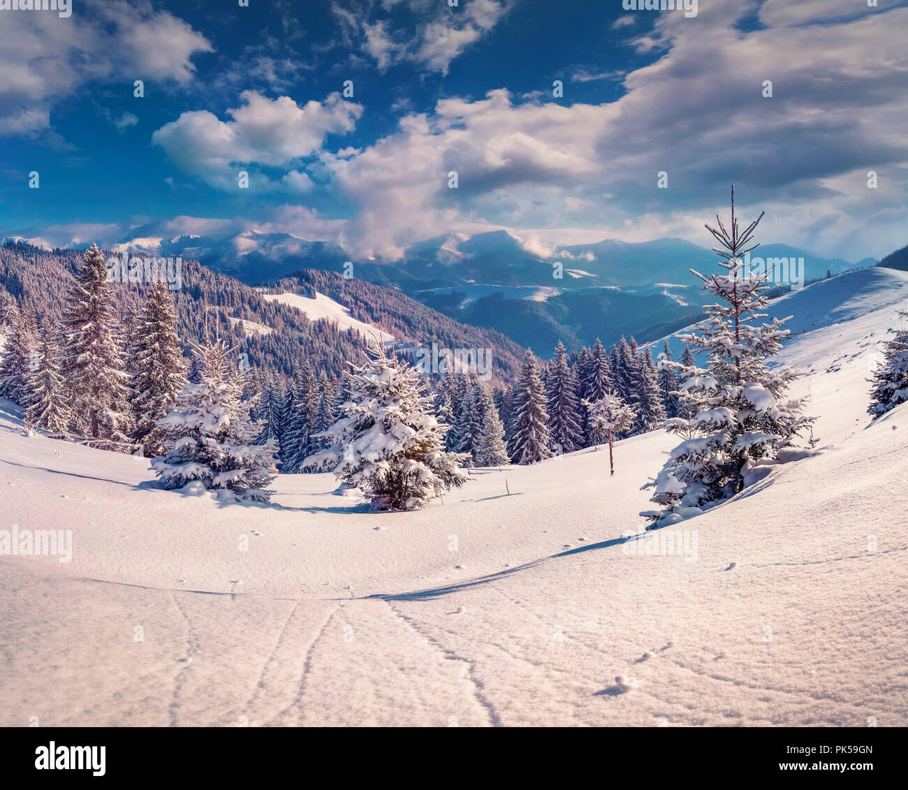 Wonderful winter morning snowfall light hi-res stock photography and ...