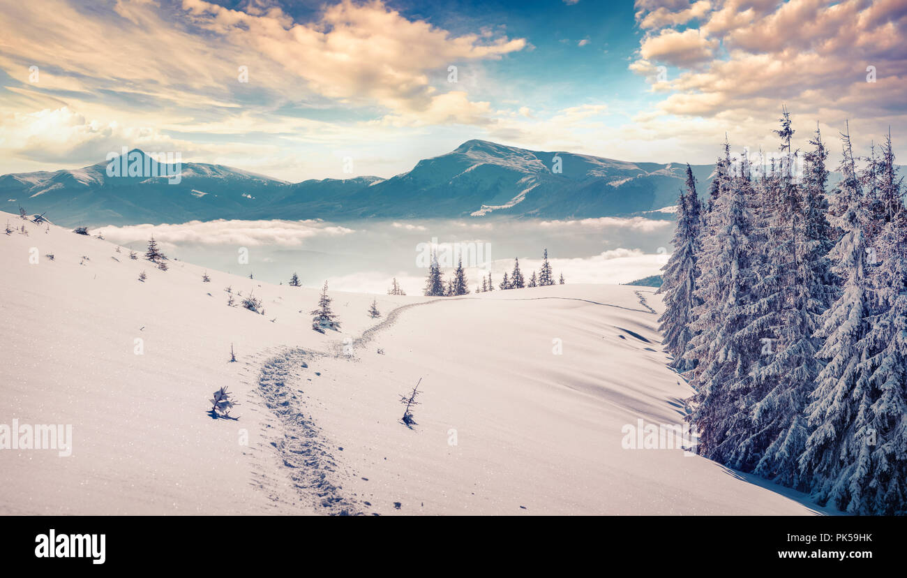 Beautiful winter mountain scene hi-res stock photography and images - Alamy