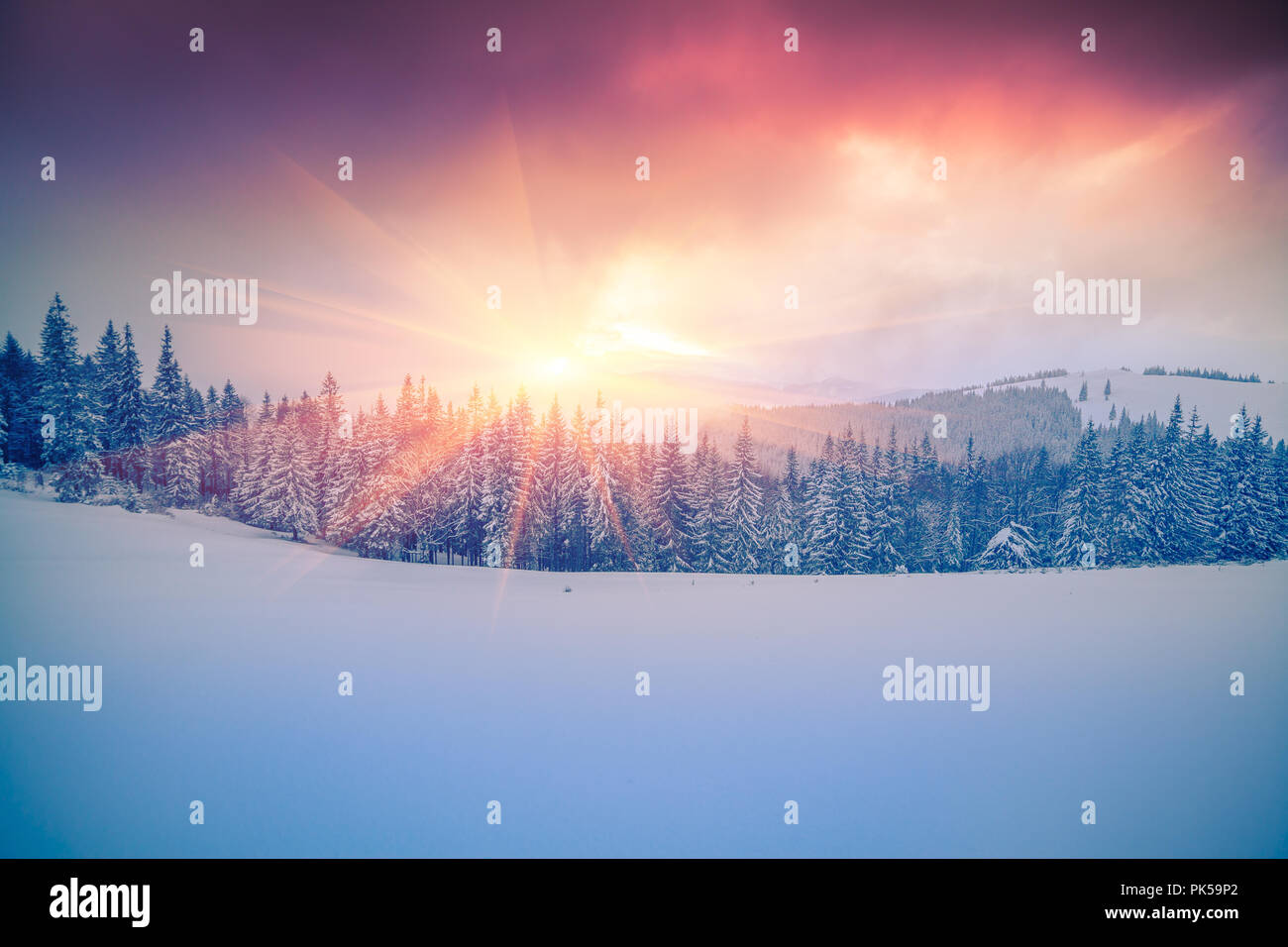 Colorful winter scene in the Carpathian mountains Stock Photo - Alamy