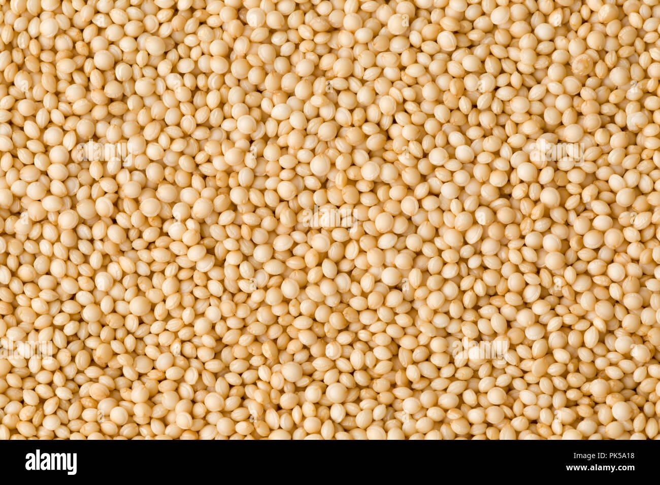 Amaranth grain seeds close up pattern background. Top view. Studio Shot ...