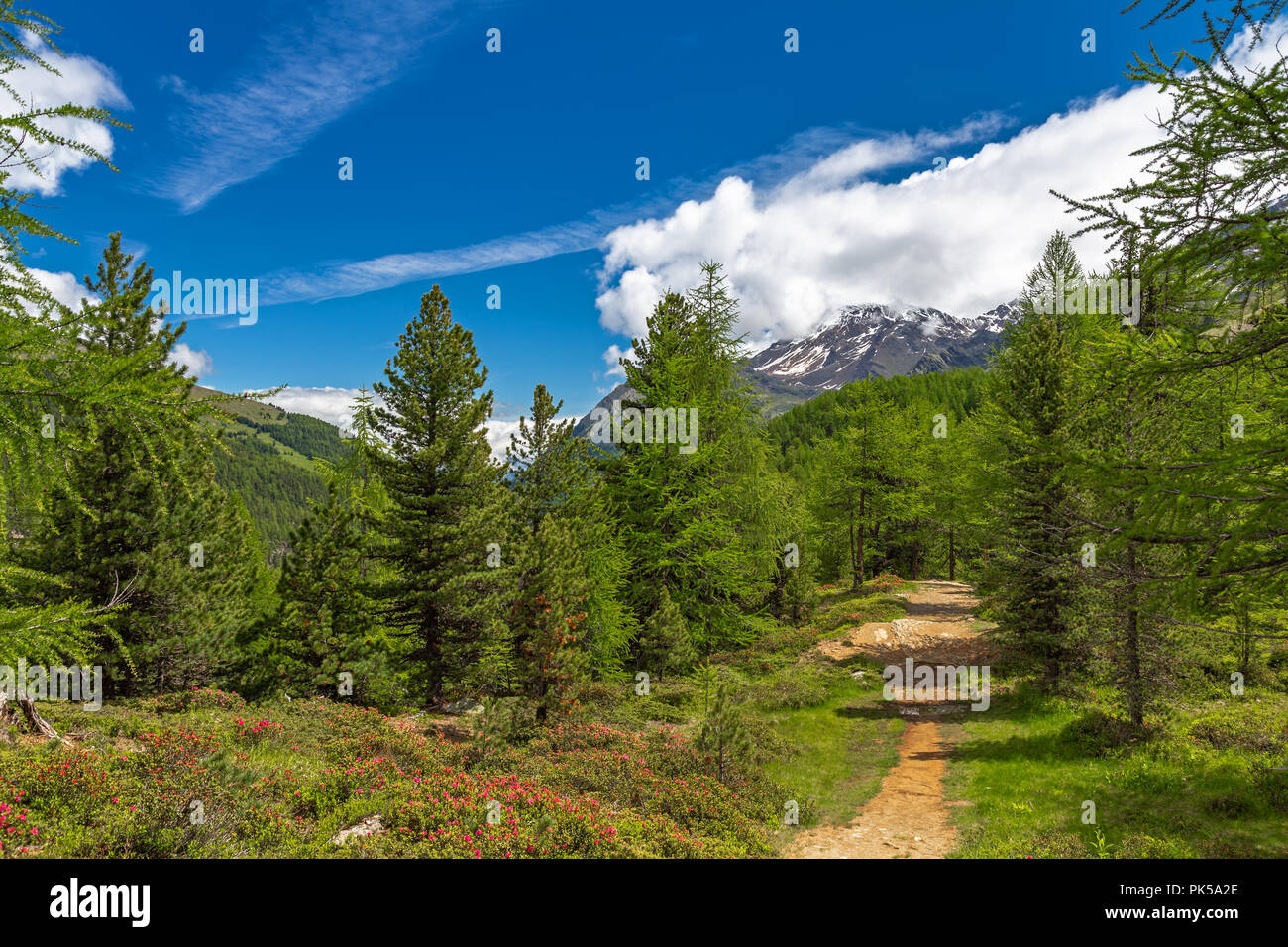 Hiking in Martell valley, South Tyrol Stock Photo - Alamy