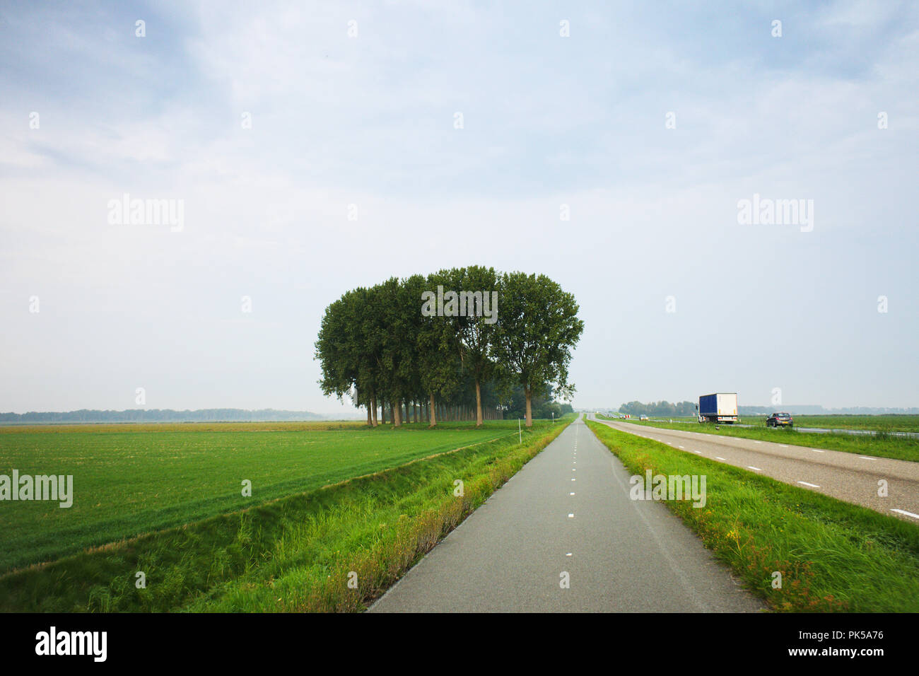 Geometrical lines on a view from a cycling path towards a tree line in ...