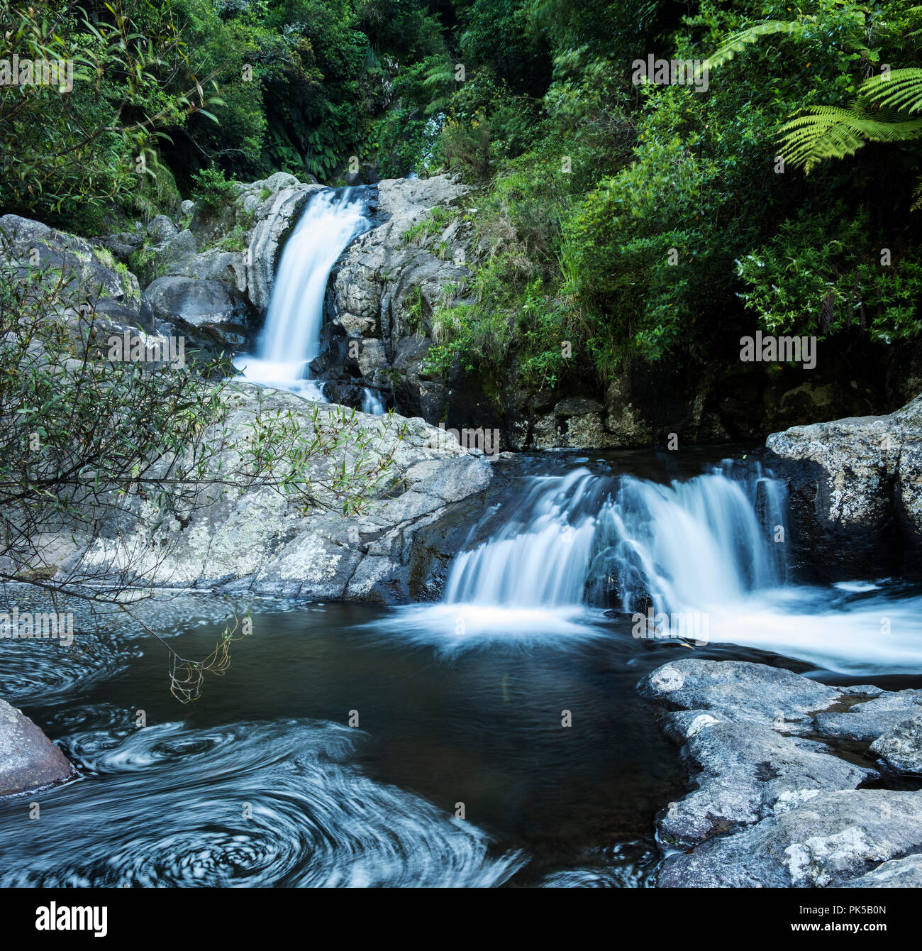 cascading Kaiate Falls, Bay of Plenty, New Zealand Stock Photo - Alamy