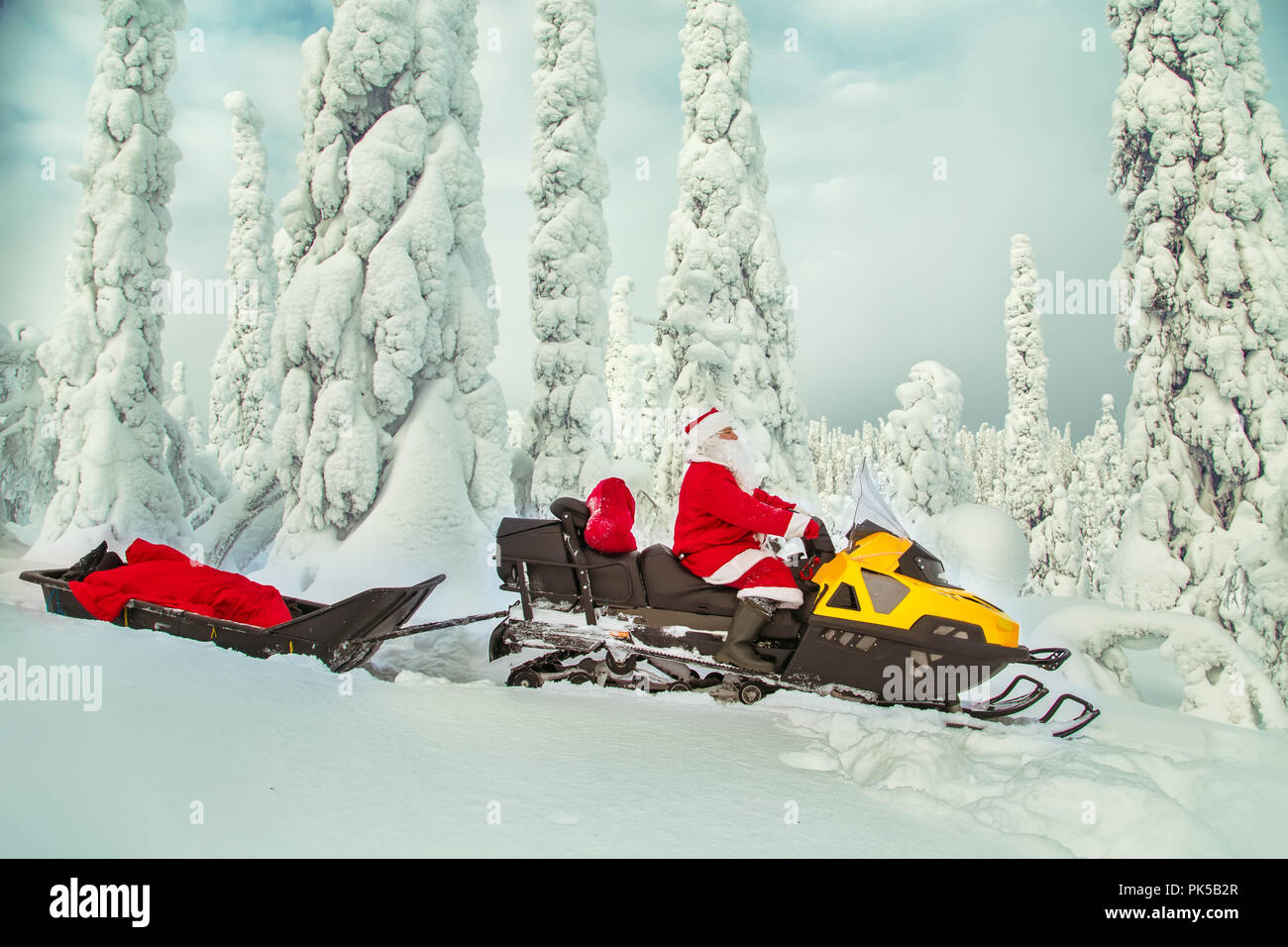 Authentic forest landscape hi-res stock photography and images - Alamy