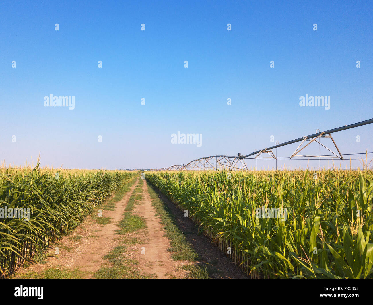 Drone photography, aerial view of water irrigation system in cultivated ...