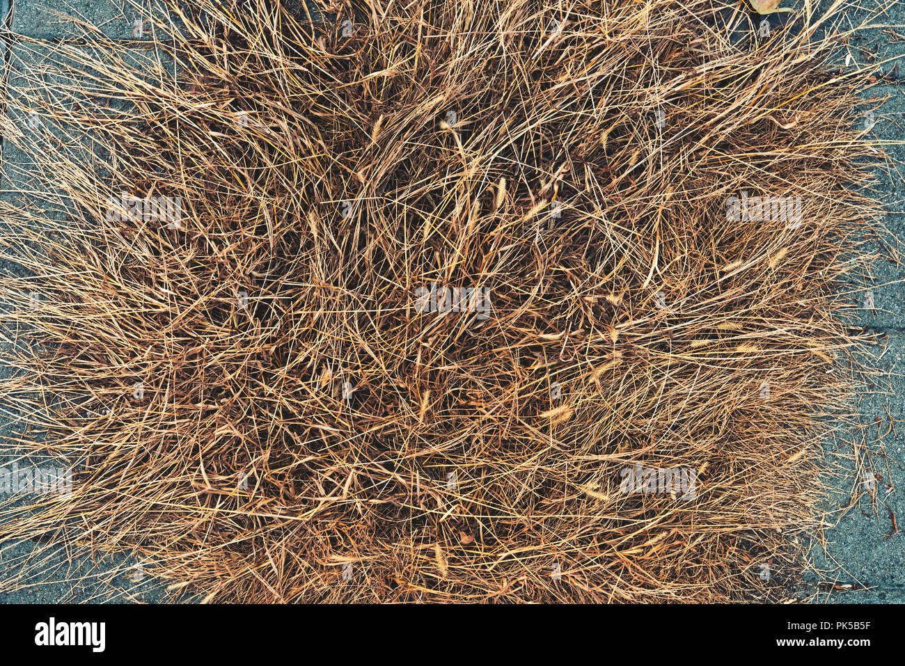 Grass heap hi-res stock photography and images - Alamy
