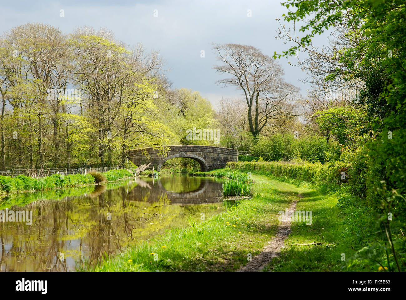 Lancaster Canal at Salwick near Preston, Lancashire Stock Photo - Alamy