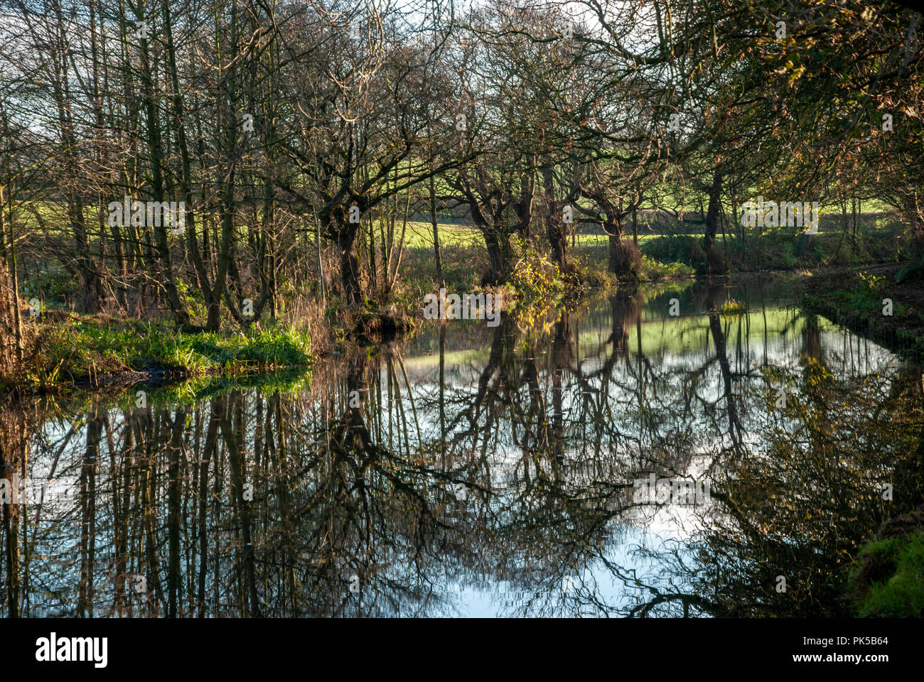Lancaster Canal near New Park Bridge, Galgate, Lancashire, UK Stock ...