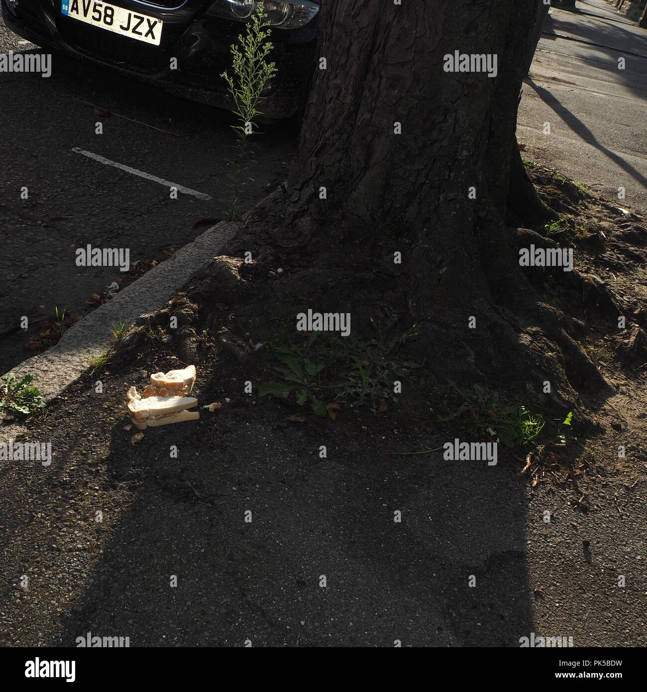 Litter & rubbish left on the street Stock Photo - Alamy