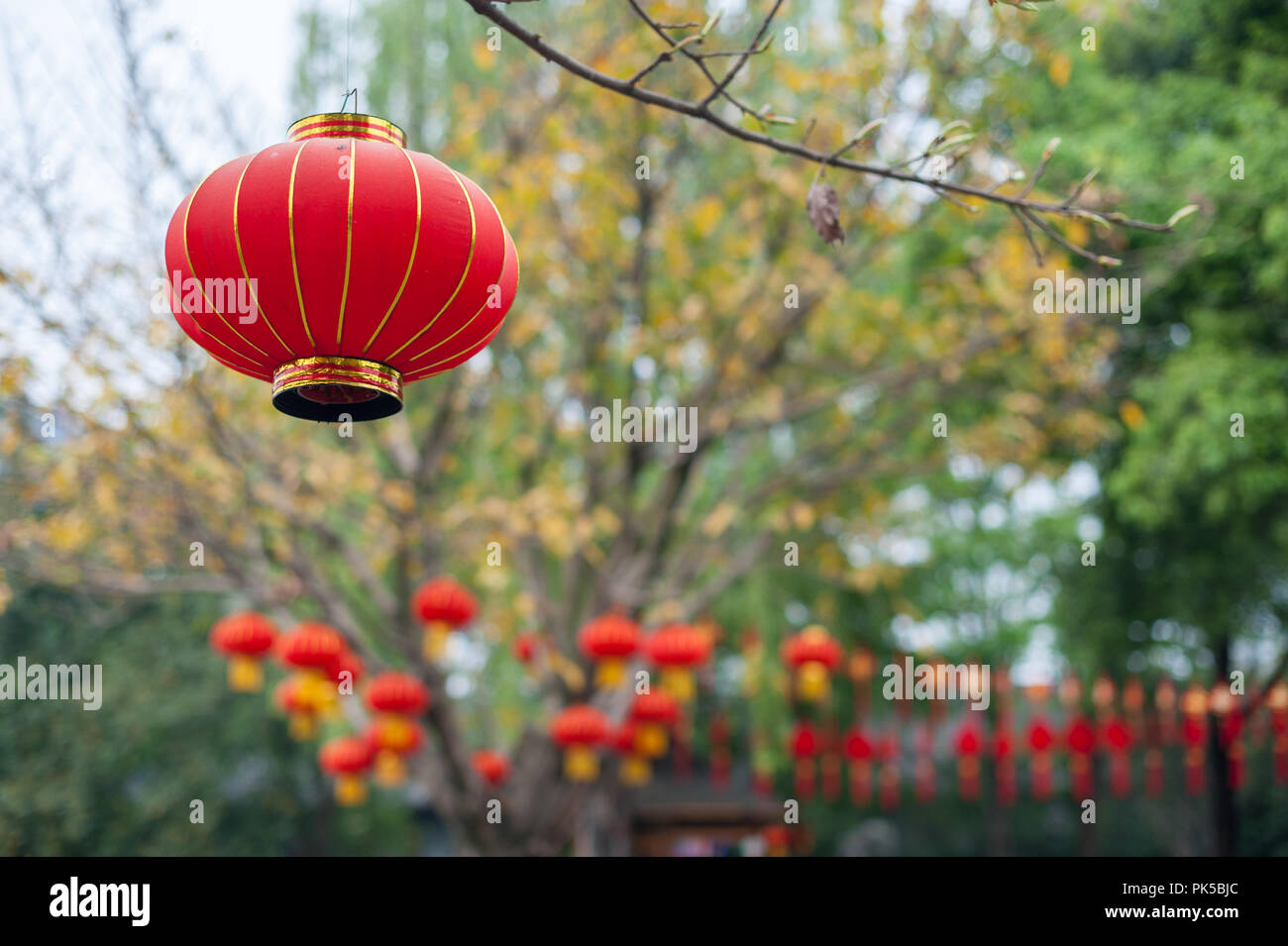 Red chinese lanterns hanging on trees in culture park, Chengdu China ...