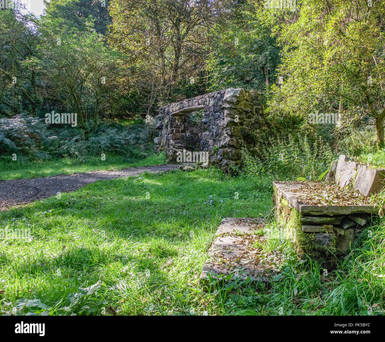 Castle Semple, Lochwinnoch, Scotland, UK - August 04, 2018: Nature ...