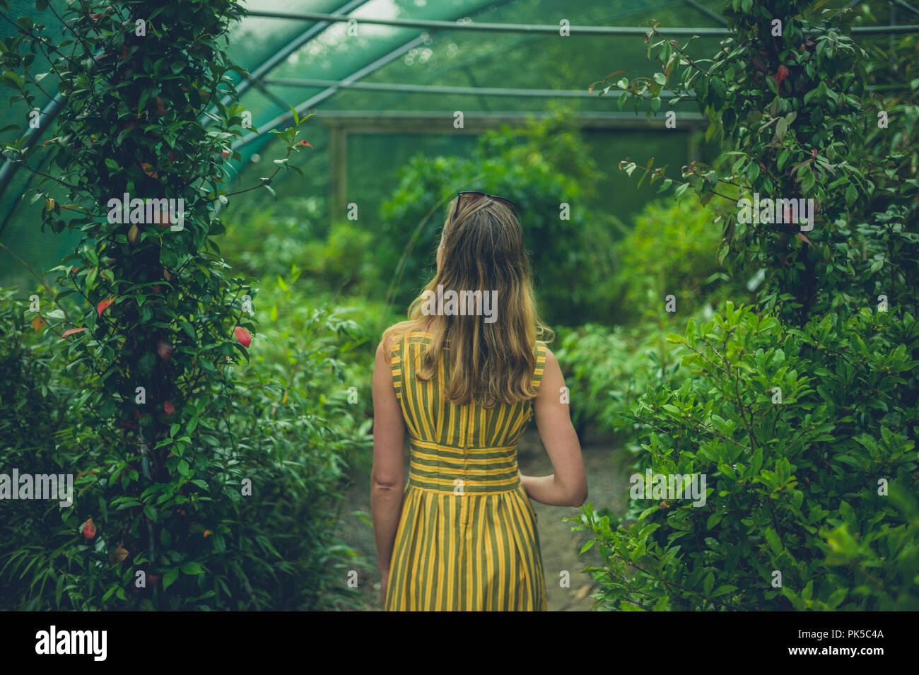 Exploring garden adult hi-res stock photography and images - Alamy