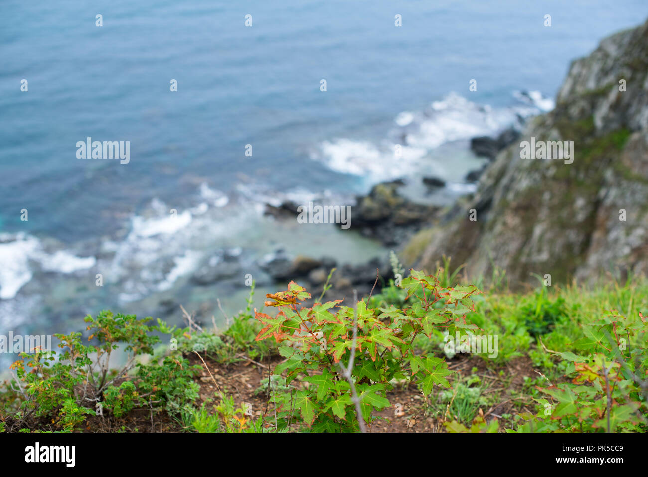 Nature beach sea landscape, blue water beach. Beautiful Bay coastline ...