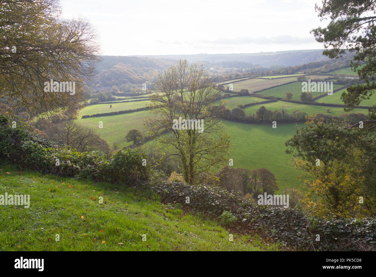The view over the River Torridge valley from Castle Hill, Great ...