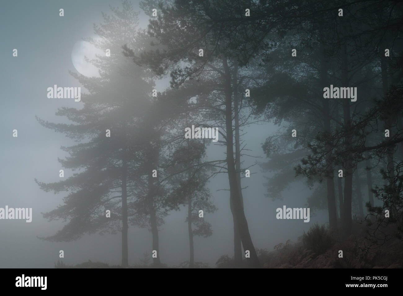 Rain full moon hi-res stock photography and images - Alamy