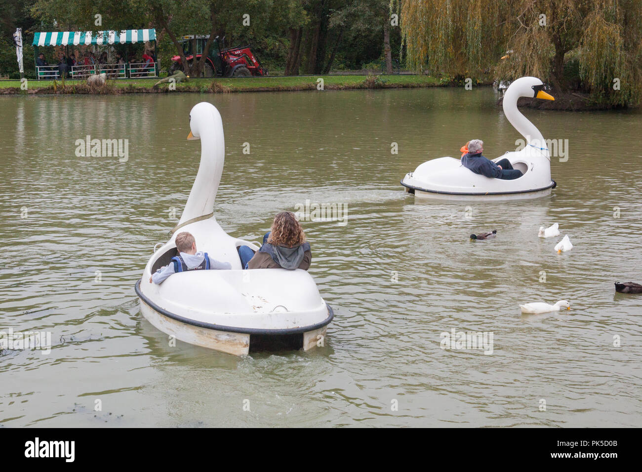 Swan pedalo boats at the Big Sheep family theme park, Abbotsham, Devon ...