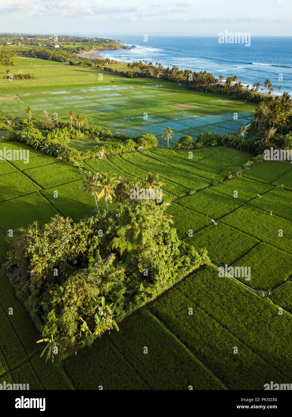 Aerial view of rice fields,Bali,Indonesia Stock Photo - Alamy