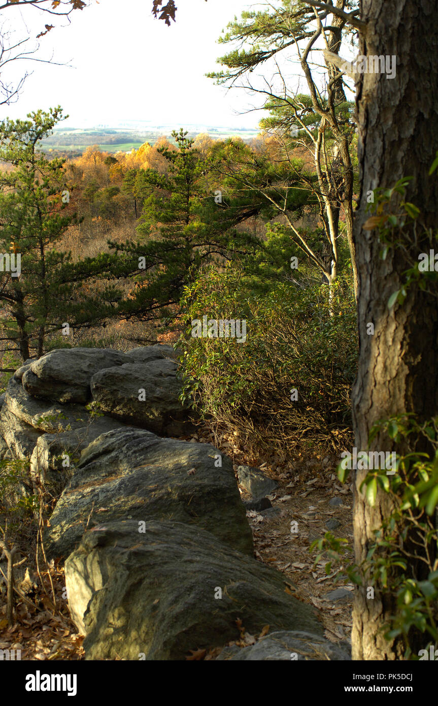 View out through the deciduous forest from Appalachian Trail at Route 7 ...