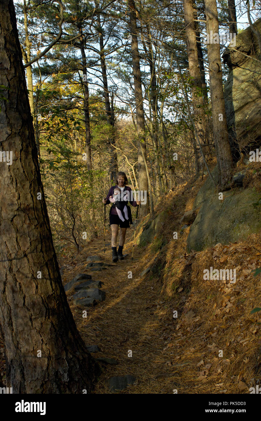 A hiker with her baby makes her way through the deciduous forest along ...
