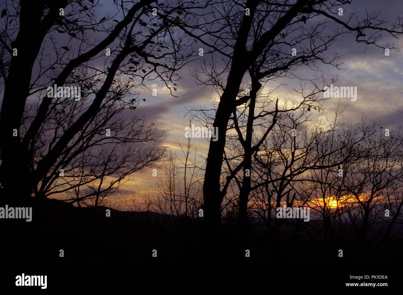 View out through the deciduous forest from Appalachian Trail at Route 7 ...