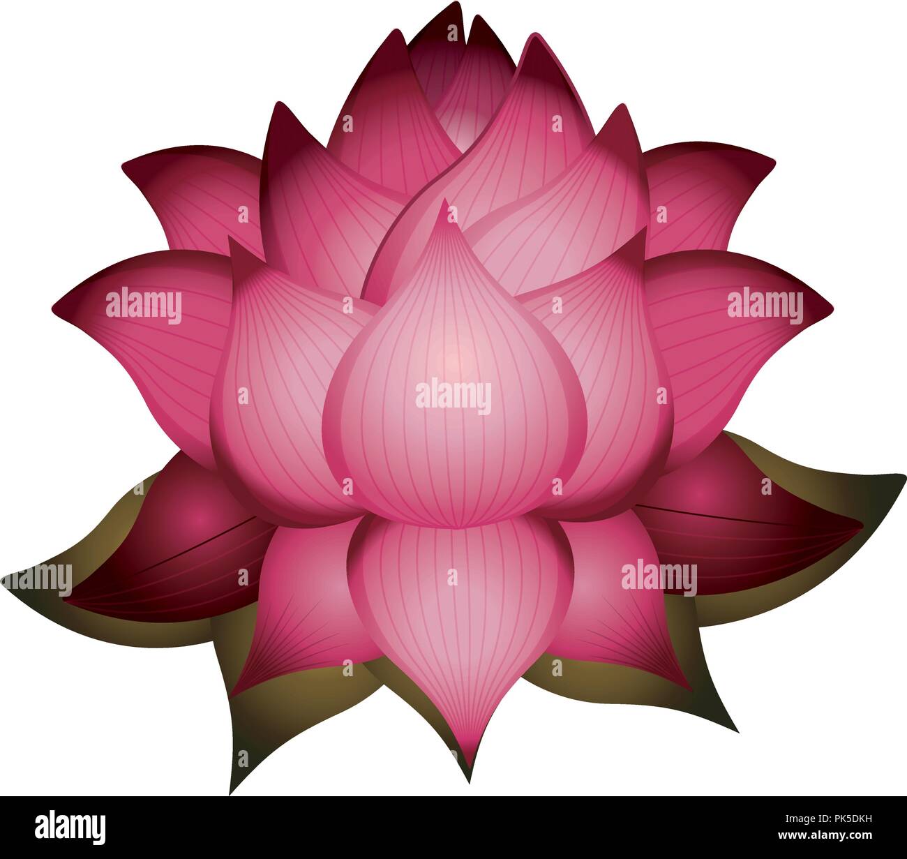 Isolated lotus flower design Stock Vector Image & Art - Alamy