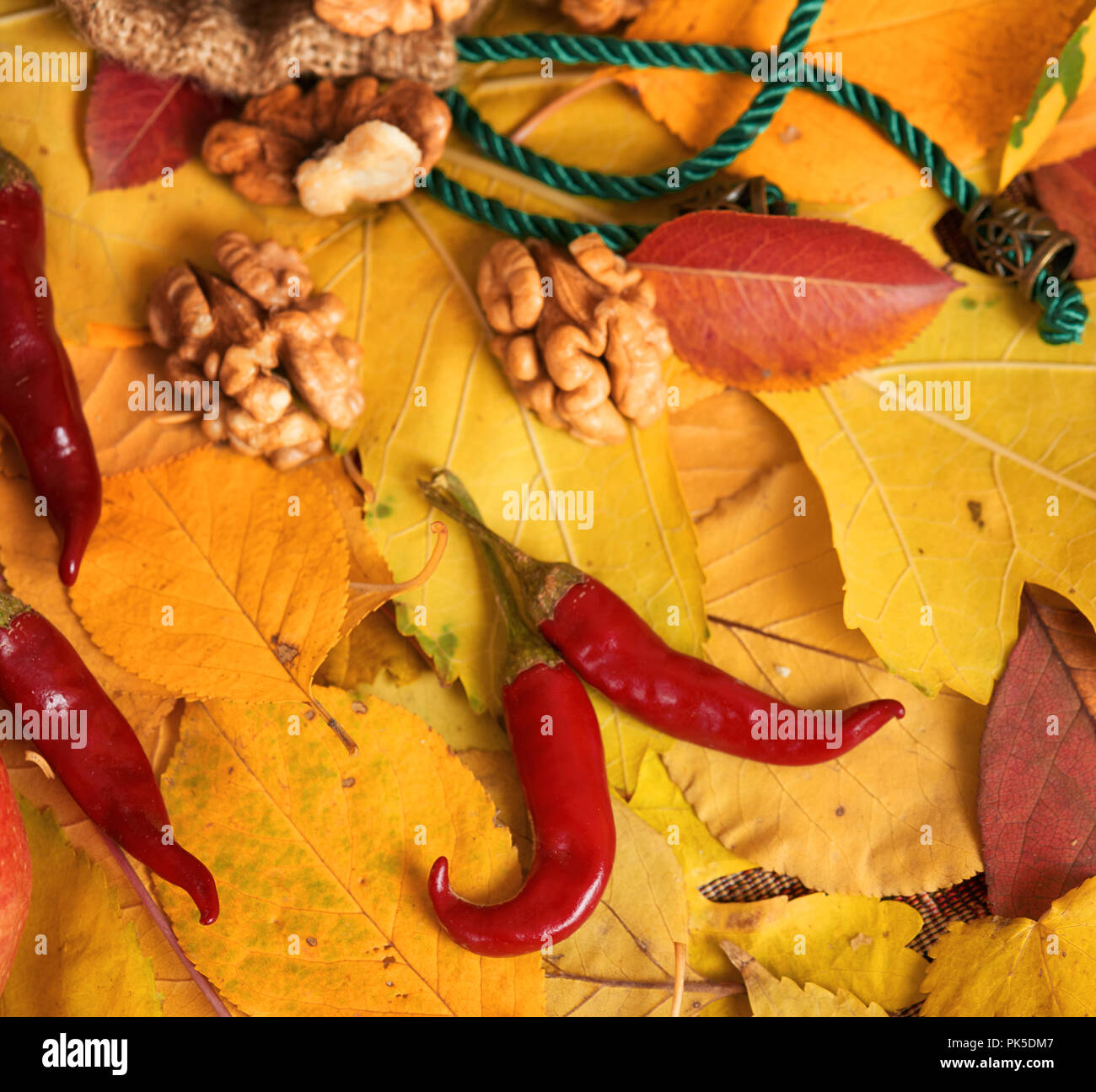 autumn harvest - fruits and vegetables are on fallen yellow leaves ...