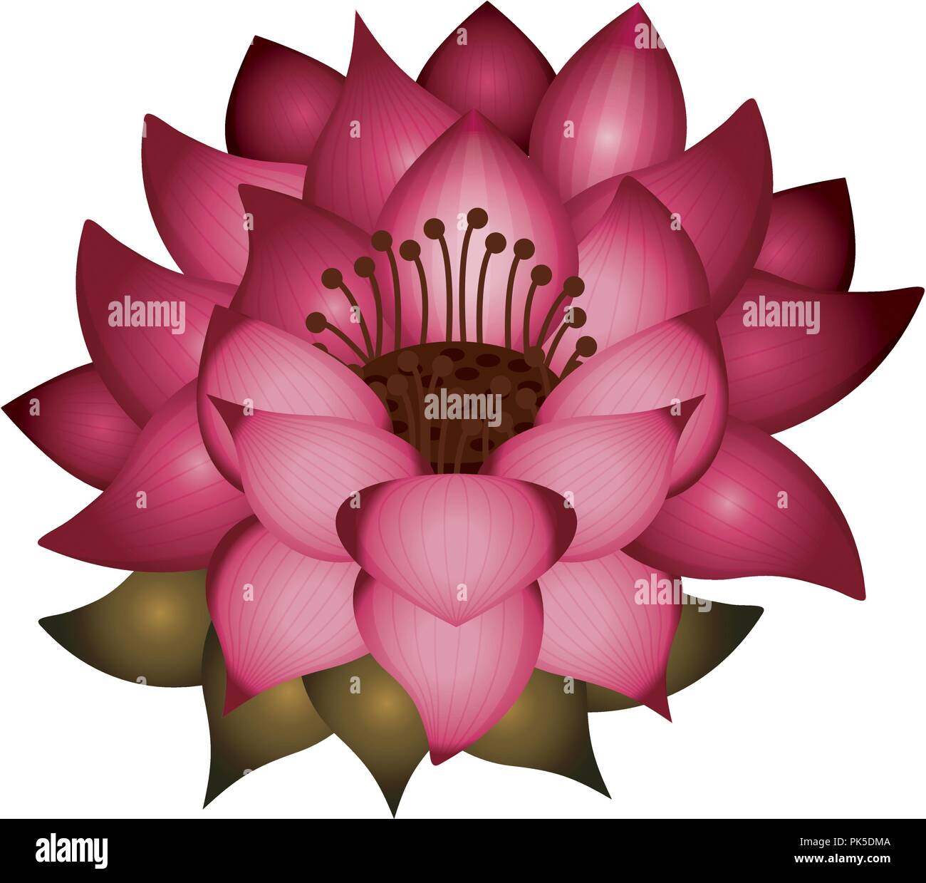 Isolated lotus flower design Stock Vector Image & Art - Alamy
