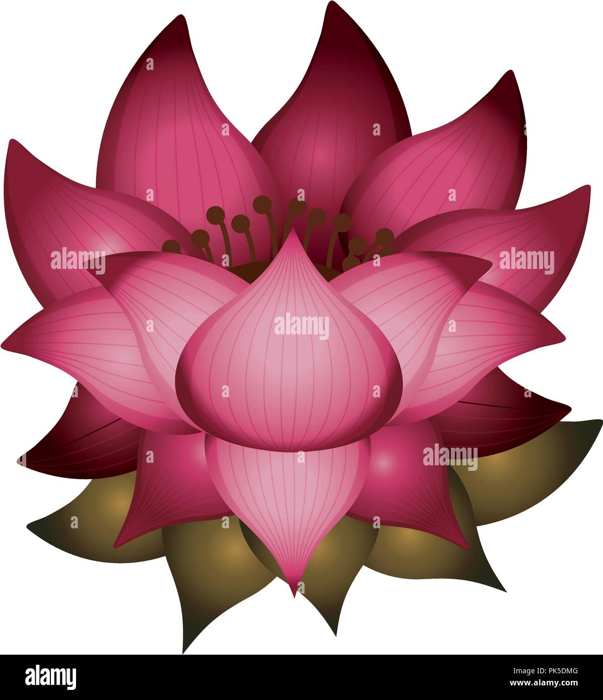 Isolated lotus flower design Stock Vector Image & Art - Alamy