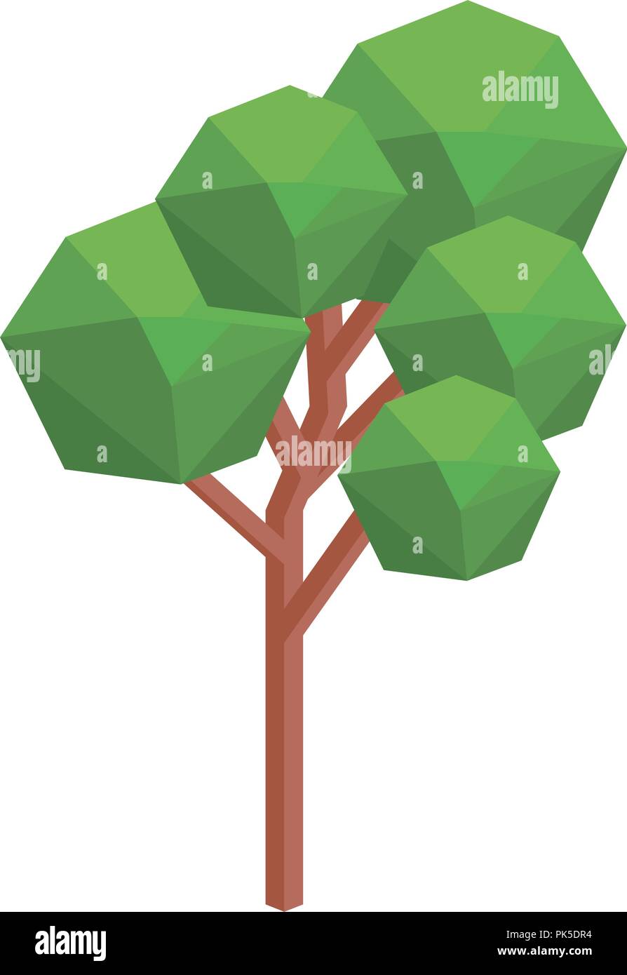 Isolated and isometric tree design Stock Vector Image & Art - Alamy