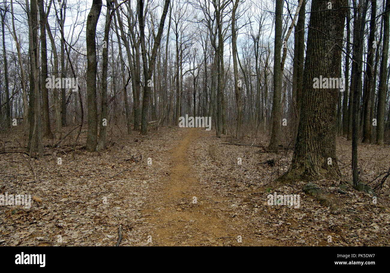 The Verlin Smith Trail at G. Thompson Wildlife Management Area in ...