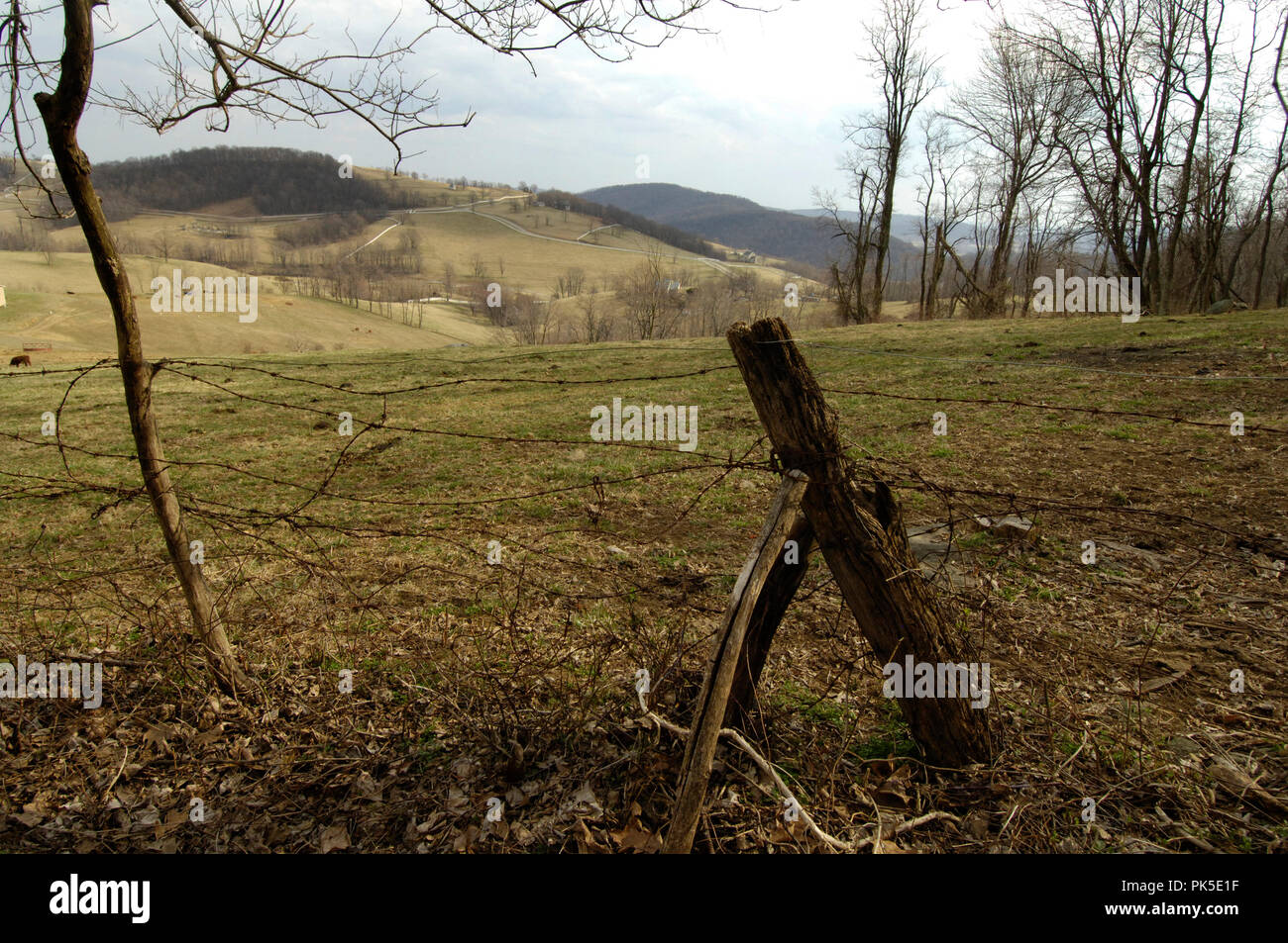 South West view from the Ted Lewis Trail at G. Thompson Wildlife ...