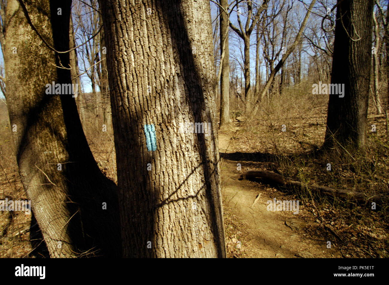 Bluetrail hi-res stock photography and images - Alamy