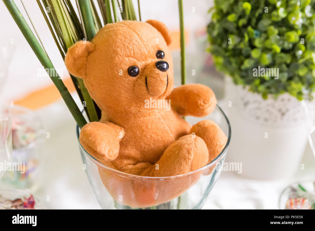Teddy Bear in a Glass Cup with Green and White Birthday Table ...