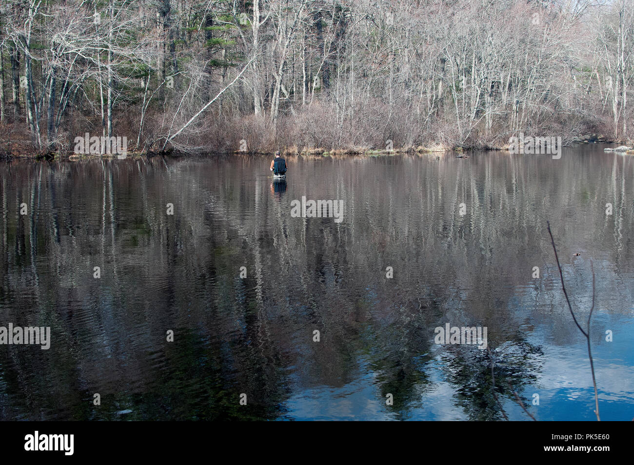 Fisherman wading in pond Stock Photo - Alamy