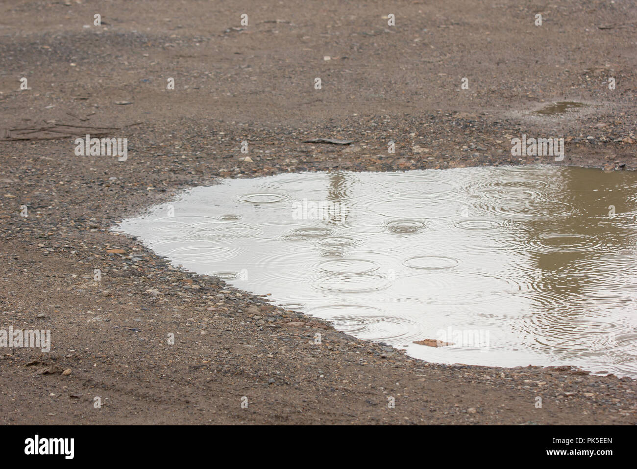 water puddles with raindrops and water circles on cracked wet road ...