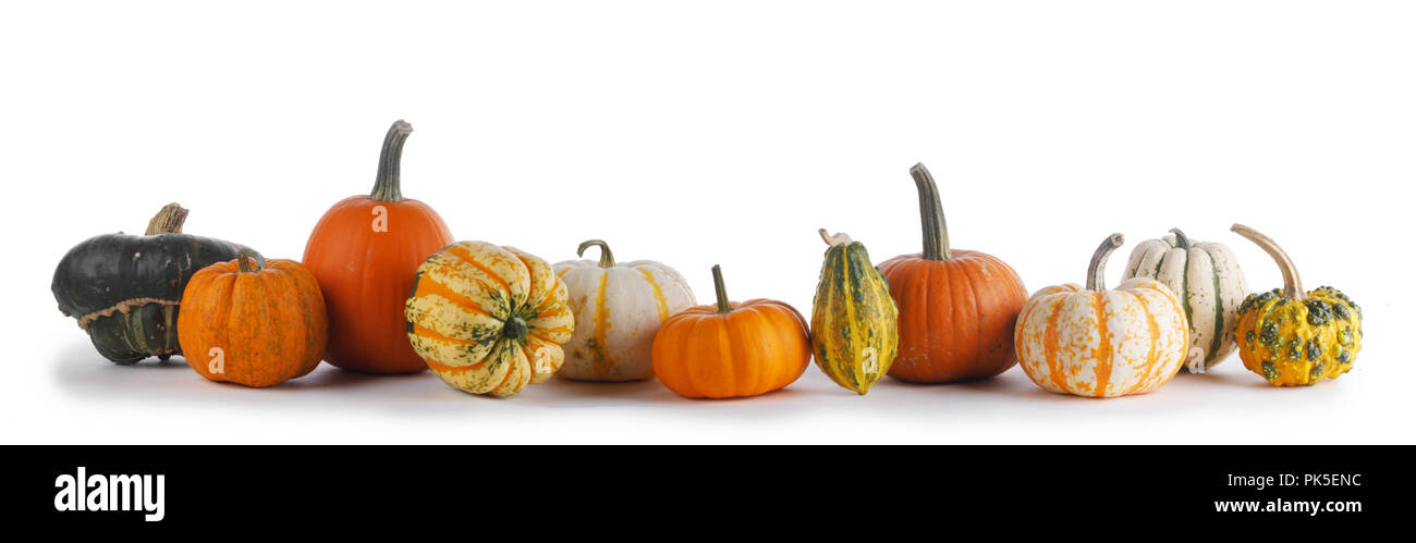 Many various pumpkins isolated on white background , Halloween or ...