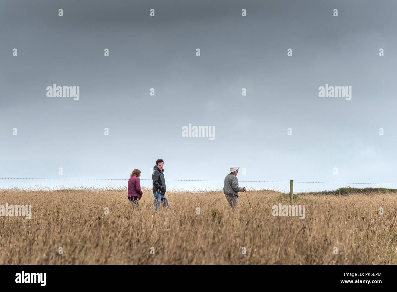 Walking the wire hi-res stock photography and images - Alamy