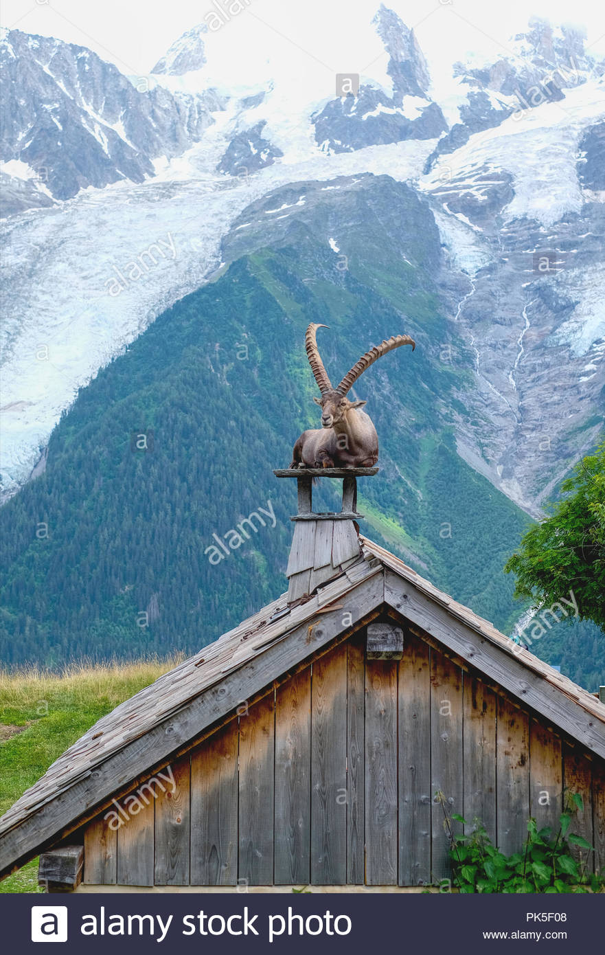 Ibex House Stock Photos & Ibex House Stock Images - Alamy