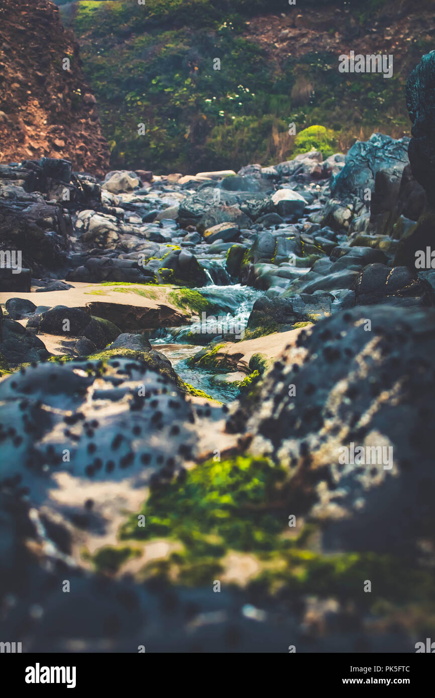 Secret Stream on Ocean Beach Oregon Coast Stock Photo - Alamy