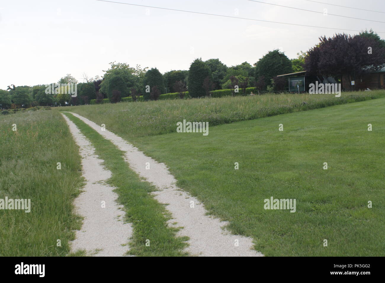 rural landscape, track among the green meadows Stock Photo - Alamy