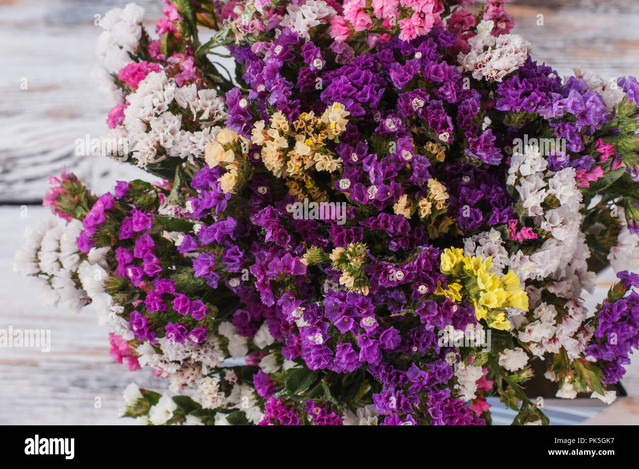Colorful larkspur flowers close up. White wood background Stock Photo ...