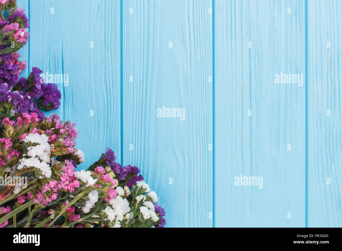 Limonium statice flowers with variety colors. Blue wooden table ...