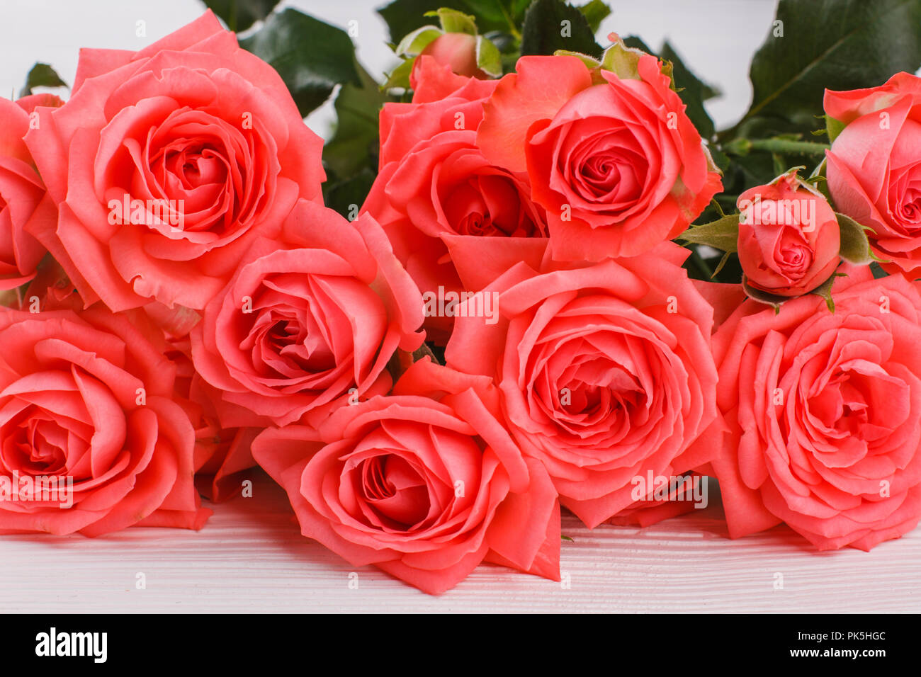 Red roses close up. White wooden desk background Stock Photo - Alamy