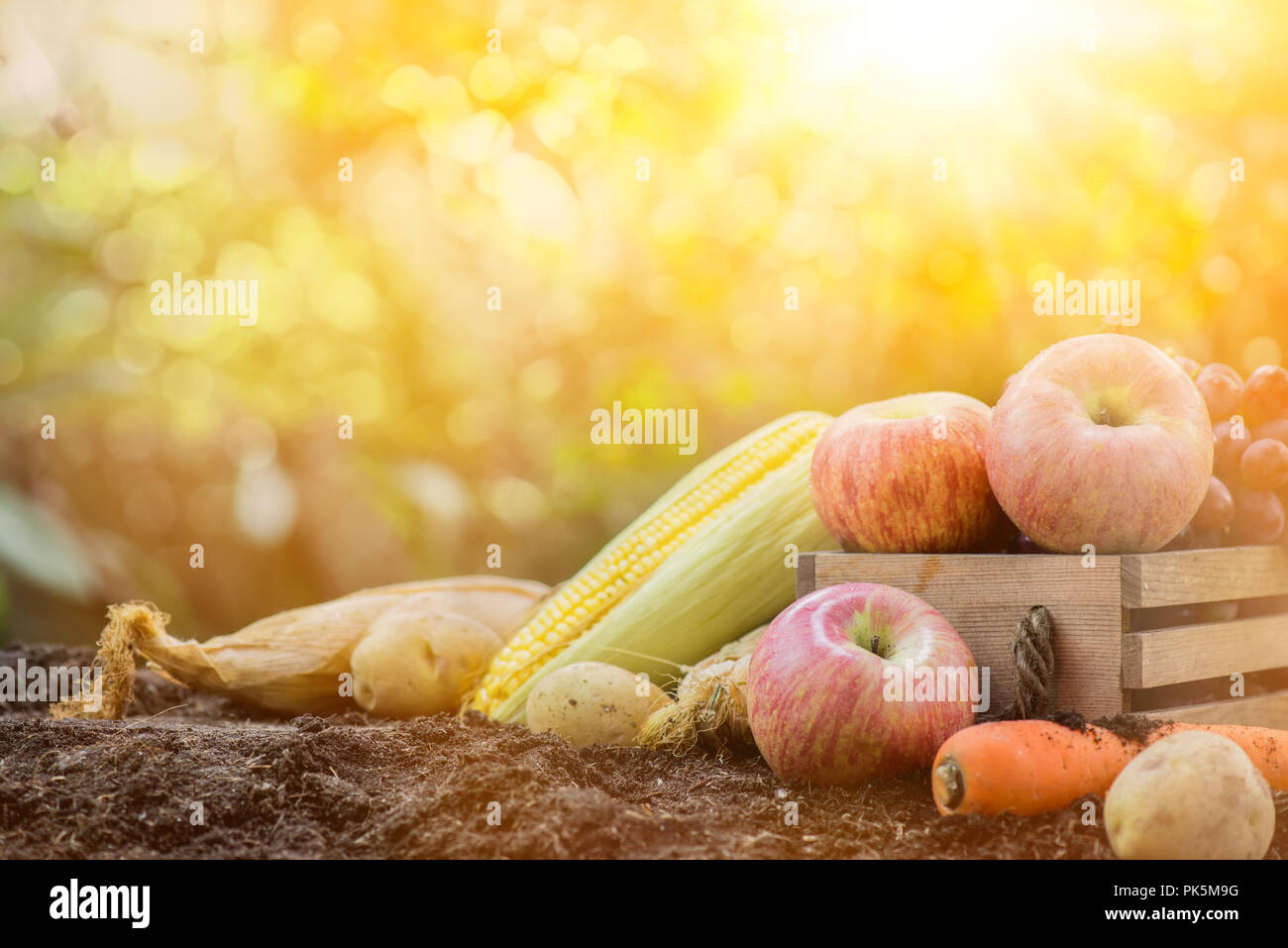 Fall harvest cornucopia. Autumn season with fruit and vegetable Stock ...