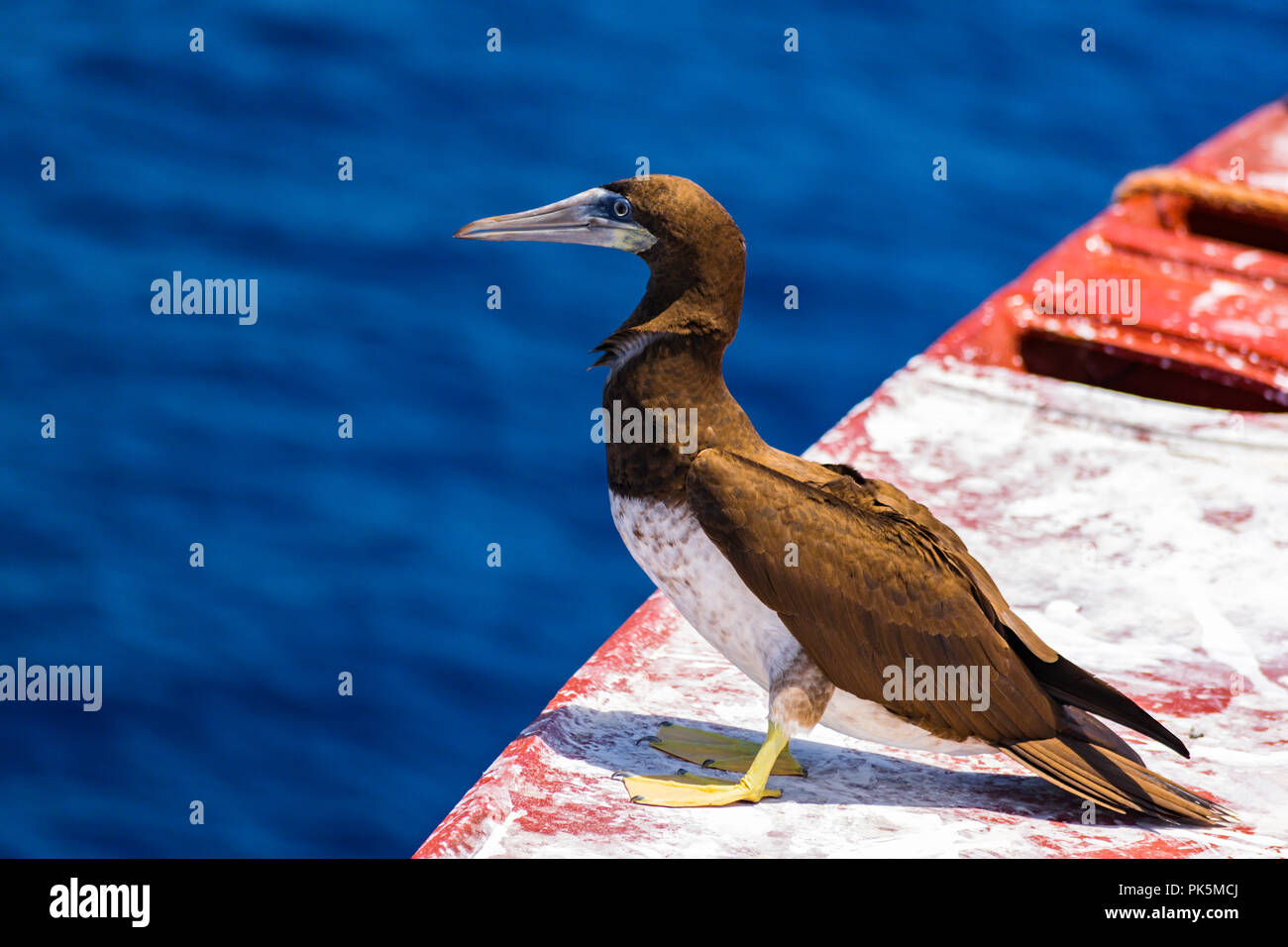 Raw file hi-res stock photography and images - Alamy