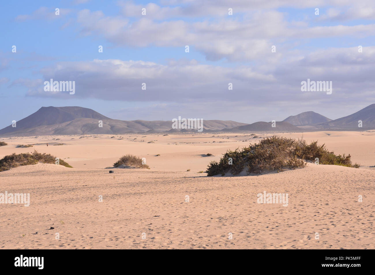 Photo Picture of a Beautiful Dry Desert Landscape Stock Photo - Alamy